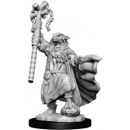 Dragonide Stregone Femmina - Miniature D&D Wizkids