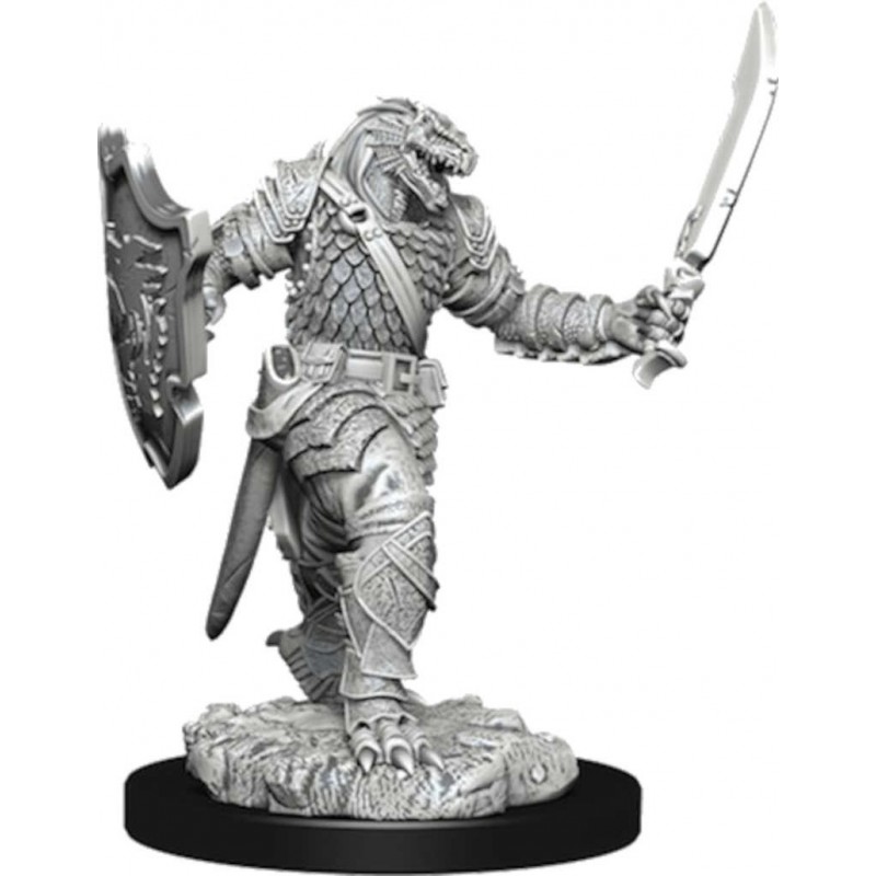 Dragonide Paladino Femmina - Miniature D&D Wizkids