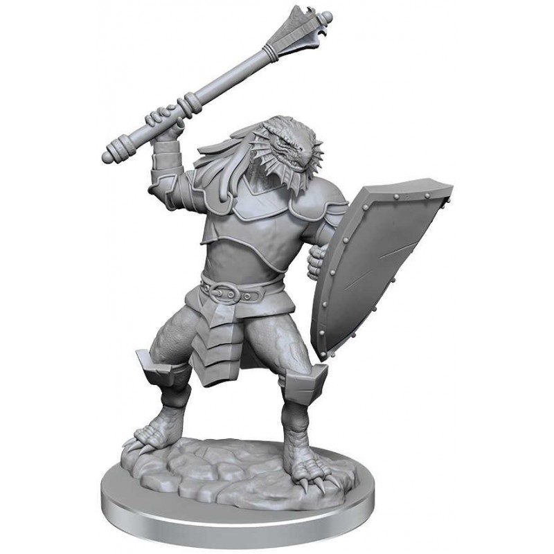 Dragonide Chierico Maschio e Femmina