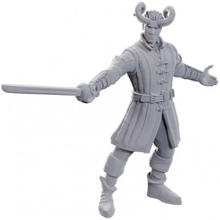 Umano Warlock Maschio e Tieflin Barbaro Femmina (Wyll Ravengard e ...